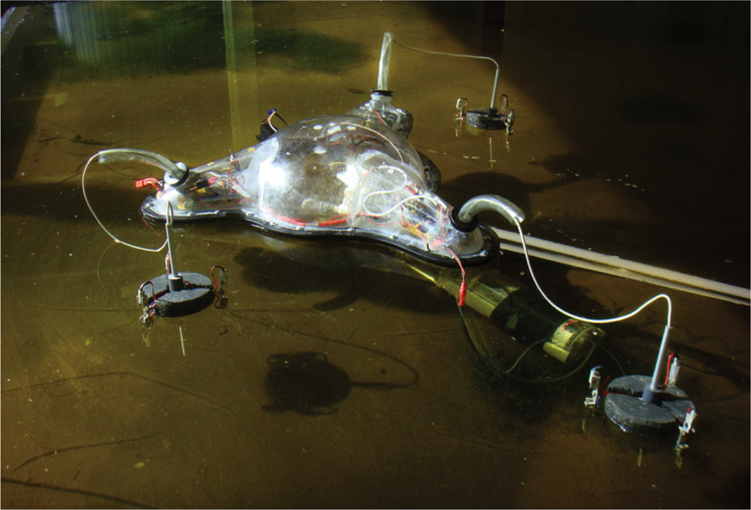 Projects – Artscience Lab Hybrid Forms